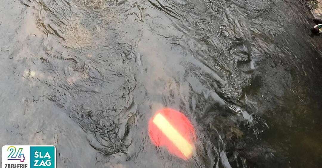 Brynica mogła wylać przez połamane drzewa, a „Wody Polskie” nie widzą ...